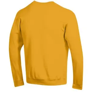 Champion Michigan Wolverines Arch Over Logo Pullover Sweatshirt