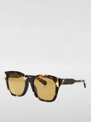 Chloé Chloé Sunglasses Multicolor