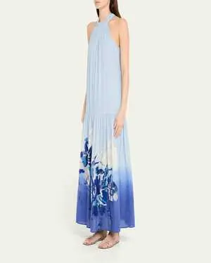 Kobi Halperin Daelia Floral Halter Maxi Dress