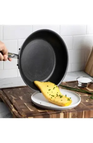 ALL-CLAD D3 Pro 10-inch Nonstick Fry Pan - Silver