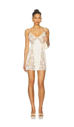 Stone Cold Fox Intimates