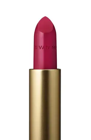 Dries Van Noten Satin Lipstick Refill - 45 Rose Cliche