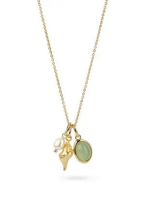ANA LUISA Charm Necklace - Gold