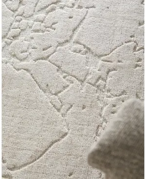 THOM FILICIA Aldrich T8019 Area Rug, 3'6 X 5'6