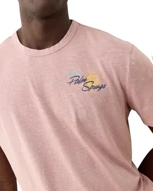 Marine Layer Palm Springs Graphic Logo Tee
