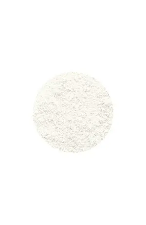 Anna Sui Brightening Loose Face Powder Refill - Translucent