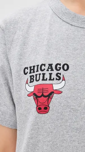 DANNIJOPRO Chicago Bulls Team Tee