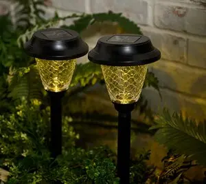 EZ SOLAR 6-piece Choice Of Glass Solar Pathway Lights - One-color