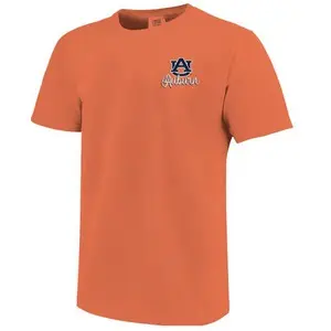 IMAGE ONE Auburn Tigers Campus Scene Graphic T-shirt
