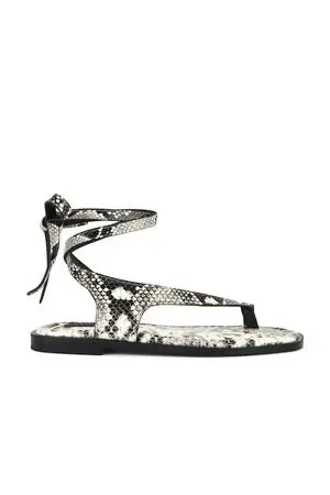 A.emery Tie Fastening Shoes For Women