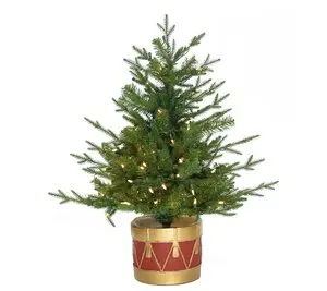 FRASER HILL FARM 3-ft. Adirondack Potted Christ Mas Tree - One-color