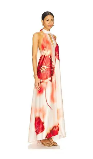 ESPECIA Acidic Long Dress