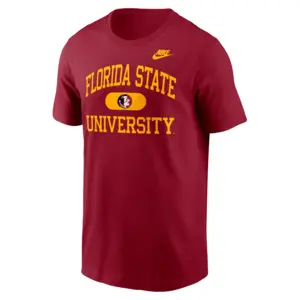 Nike Florida State Legacy Alma Mater Men's College T-shirt Grey