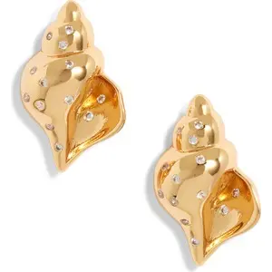 FRASIER STERLING Anguilla Shell Earrings - Gold
