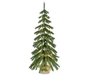 FRASER HILL FARM 4-ft. Downswept Farmhouse Fir Christmas Tree - One-color