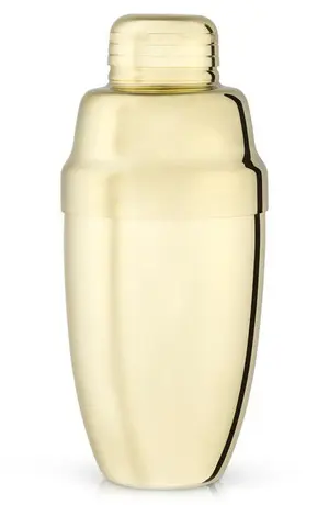 VISKI Heavyweight Cocktail Shaker - Gold