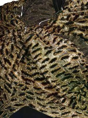Rabanne Animal-print Long-sleeve Top - Brown