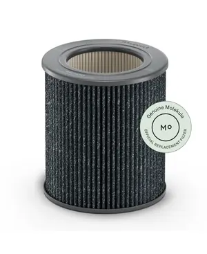 MOLEKULE Peco-hepa Tri-powered Filter For Air Mini And Air Mini - Charcoal Grey