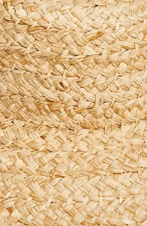 Treasure & Bond Braided Straw Bucket Hat