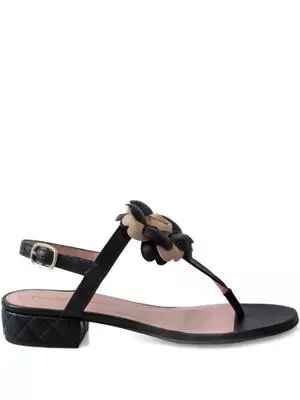 Pretty Ballerinas Buckled Shoes For Women