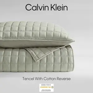 Calvin Klein Reversible Mini Box Quilt Set, Queen - Absinthe Green