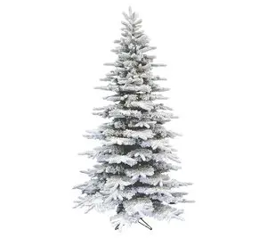 FRASER HILL FARM 12-ft. Flocked Pine Valley Chr Istmas Tree - One-color