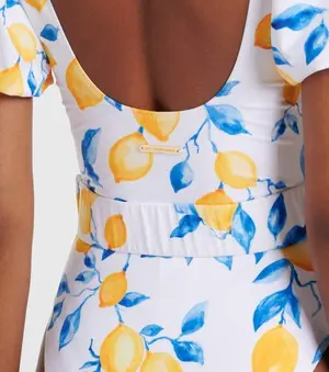 ALEXANDRA MIRO Jeanie Belted Printed Swimsuit - Multicoloured