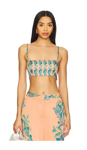 Hemant & Nandita Bandeau - Pink,blue