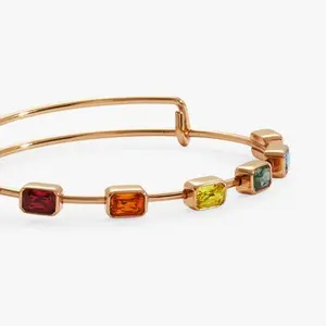 ALEX AND ANI Crystal Bangle Bracelet - Rainbow Ombre
