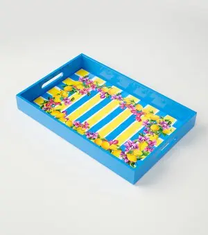 Dolce & Gabbana Striped Decorative Ray