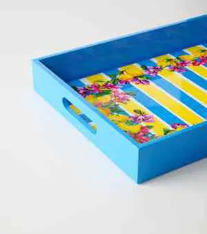 Dolce & Gabbana Striped Decorative Ray
