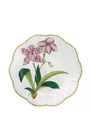 PINTO PARIS Histoires D'orchidees Dinner Plate - White