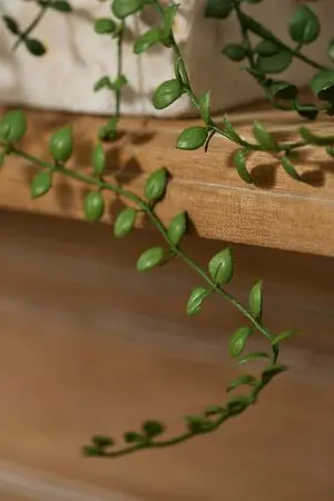 TERRAIN Faux Button Leaf Spray