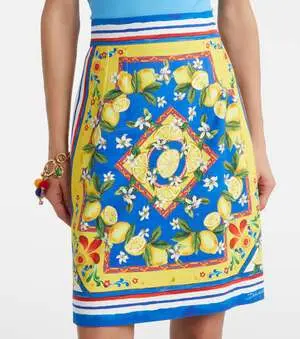 Dolce & Gabbana Printed Cotton-blend Miniskirt