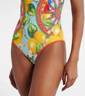 Dolce & Gabbana Printed One Piece Swimsuit