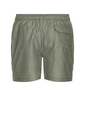 Barbour Shell Swim Short - Olive
