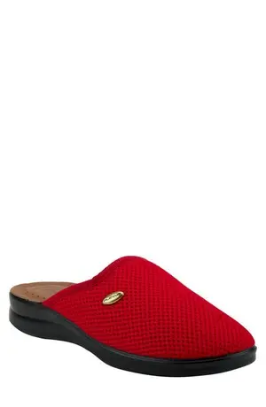 Spring Step Slipper Shoes For Women