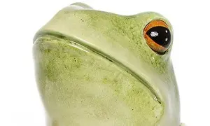 MACKENZIE-CHILDS Fergal The Frog Butler Figurine