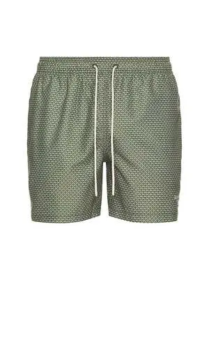 Barbour Shell Swim Short - Olive