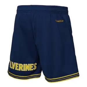 Mitchell & Ness Michigan Wolverines Team Origins Mesh Shorts