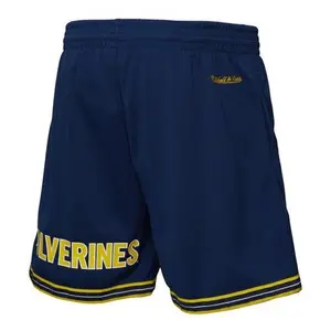 Mitchell & Ness Michigan Wolverines Team Origins Mesh Shorts