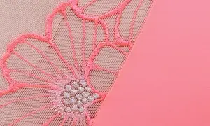 Chantelle Embroidered High Waist Briefs - Bubblegum