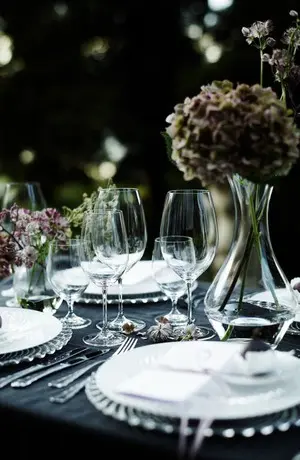 RIEDEL Vinum Cabernet/merlot Wine Glasses