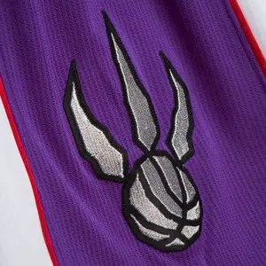 Mitchell & Ness Toronto Raptors Authentic Shorts