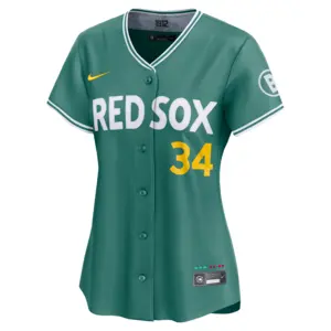 Nike David Ortiz Boston Red Sox City Connect MLB Limited Jersey Green