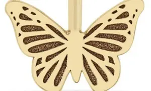 Zoe Chicco 14k Gold Butterfly Charm