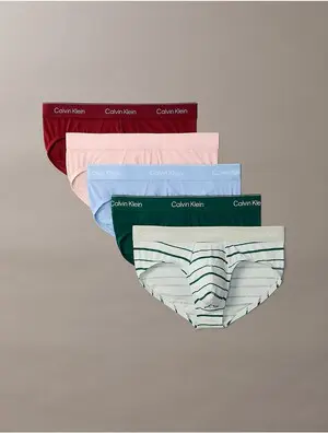 Calvin Klein Icon Cotton Stretch 5-pack Hip Brief Fall Berry / Frozen Fjord / Stripe Sprout Green / Turf/potpourri
