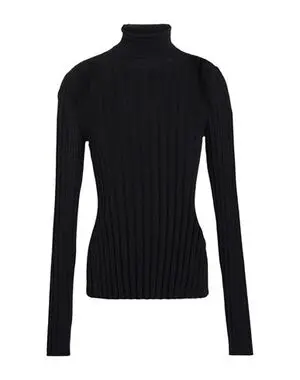 Alysi Turtleneck Sweaters For Women
