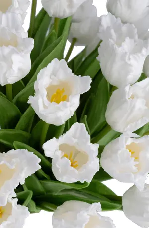 COCOBELLA Zelie Realtouch Tulip Arrangement - Snow