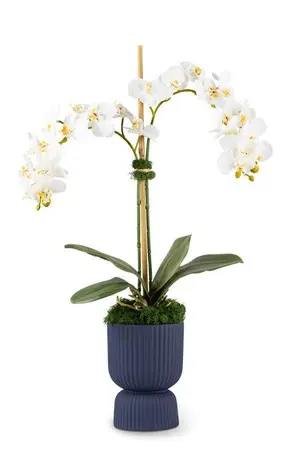 COCOBELLA Cruz Realtouch Pedestal Orchid - Snow
